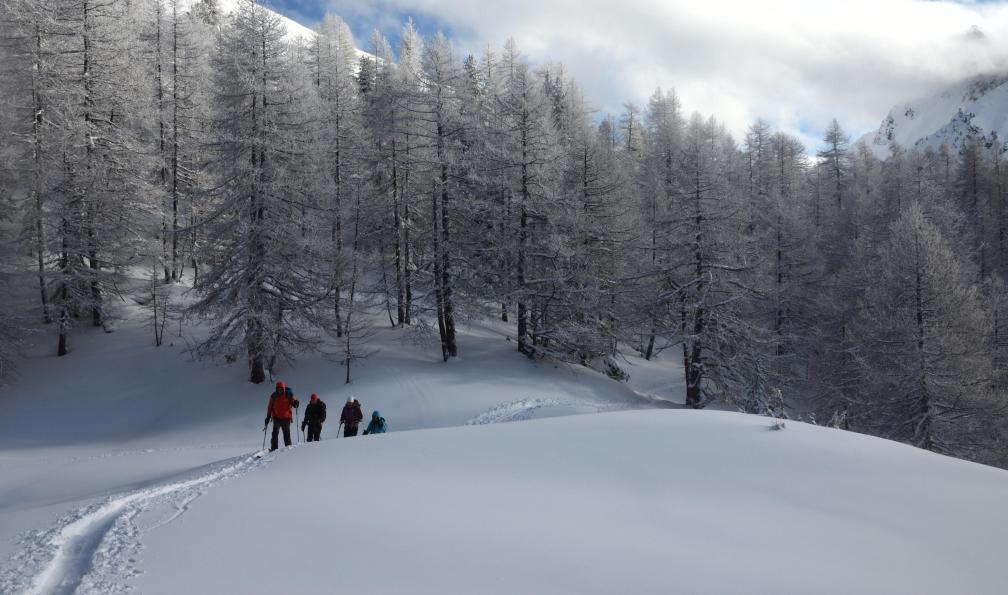 Hors-piste et rando en queyras - Débuter le ski de rando dans le ...