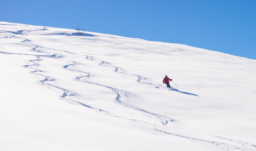 Hors-piste et rando en queyras - Débuter le ski de rando dans le ...
