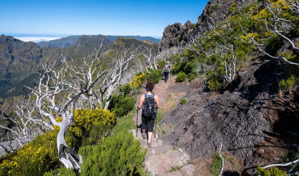 Trek madere - Madère, des levadas à la mer - Découverte - Portugal#N ...