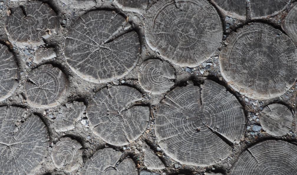 Hors-piste et rando en queyras - Débuter le ski de rando dans le ...