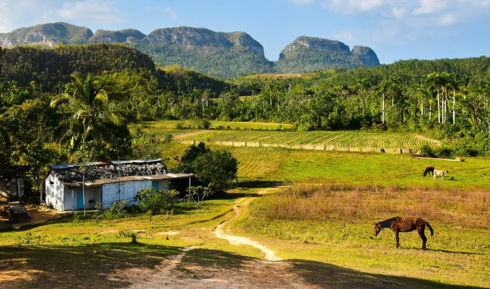 Randonnée parcs naturels - Randonnées et merveilles cubaines ...