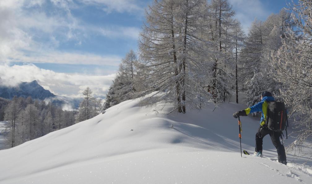 Hors-piste et rando en queyras - Débuter le ski de rando dans le ...