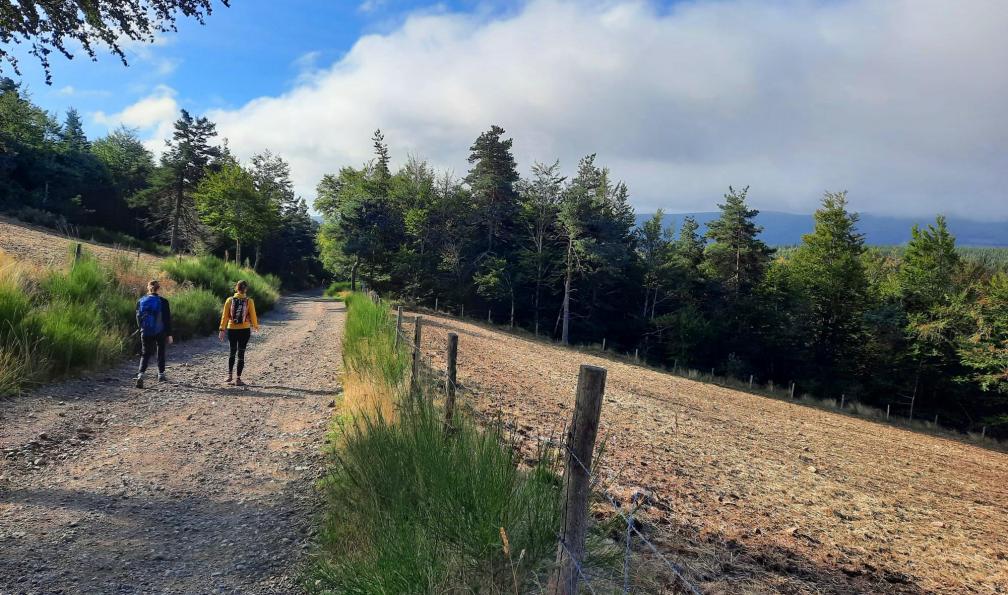 Randonnée stevenson - Le chemin de Stevenson : partie Sud - Randonnée ...