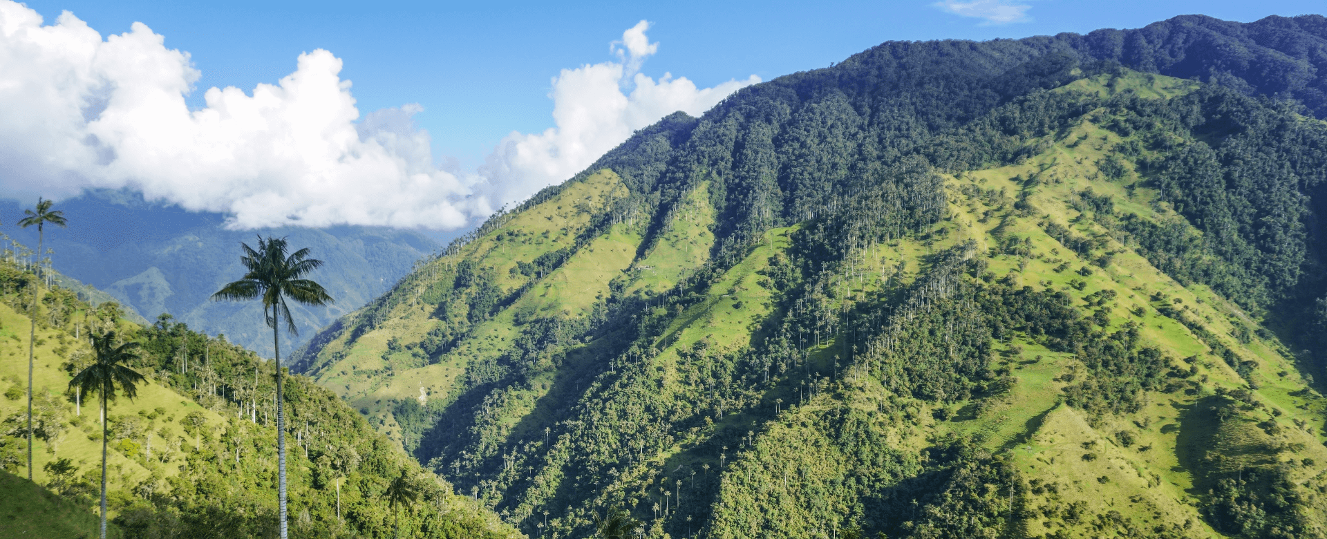 Allibert Trekking : Agence de voyages, randonnées, trekkings ...