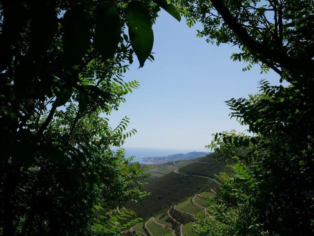 Rando collioure cadaques - De Collioure à Cadaqués - Randonnée - France ...
