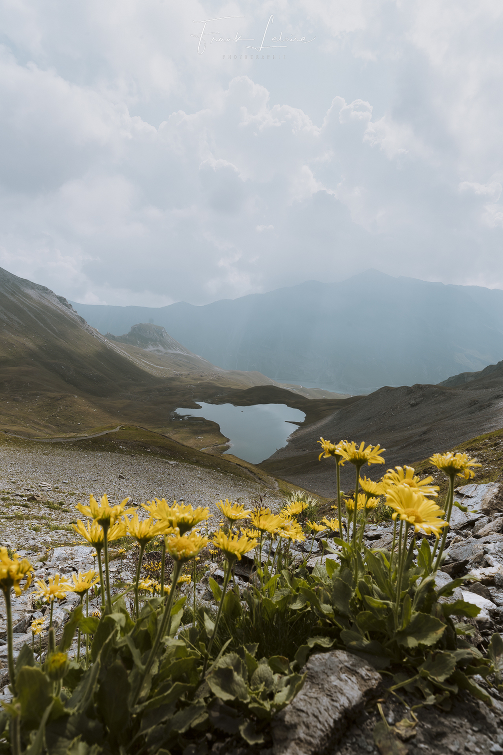 Rando chamonix zermatt - L'intégrale de Chamonix à Zermatt - Randonnée ...