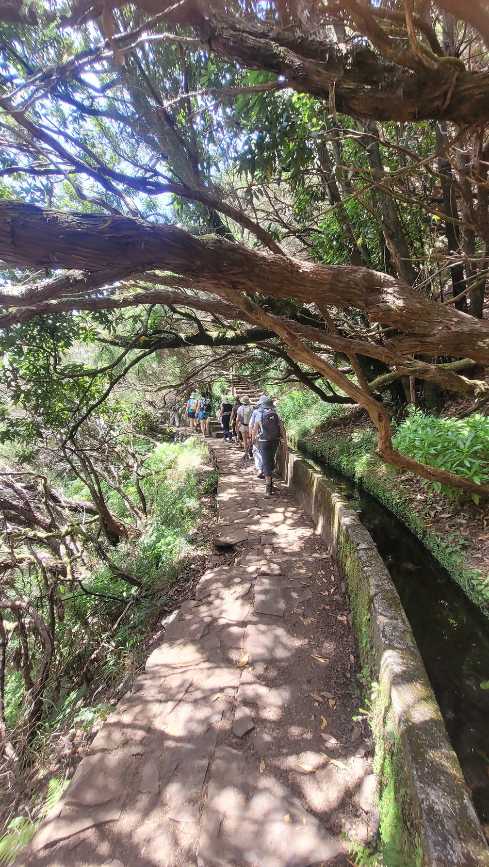 Trek madere - Madère, des levadas à la mer - Découverte - Portugal#N ...