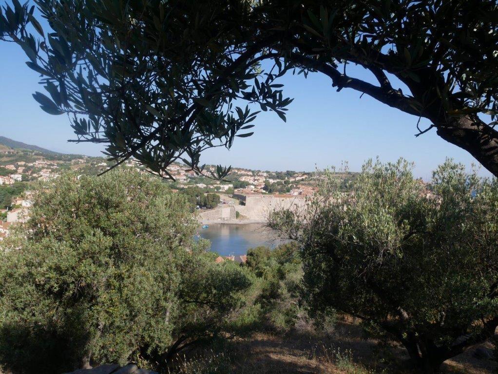 Rando collioure cadaques - De Collioure à Cadaqués - Randonnée - France ...