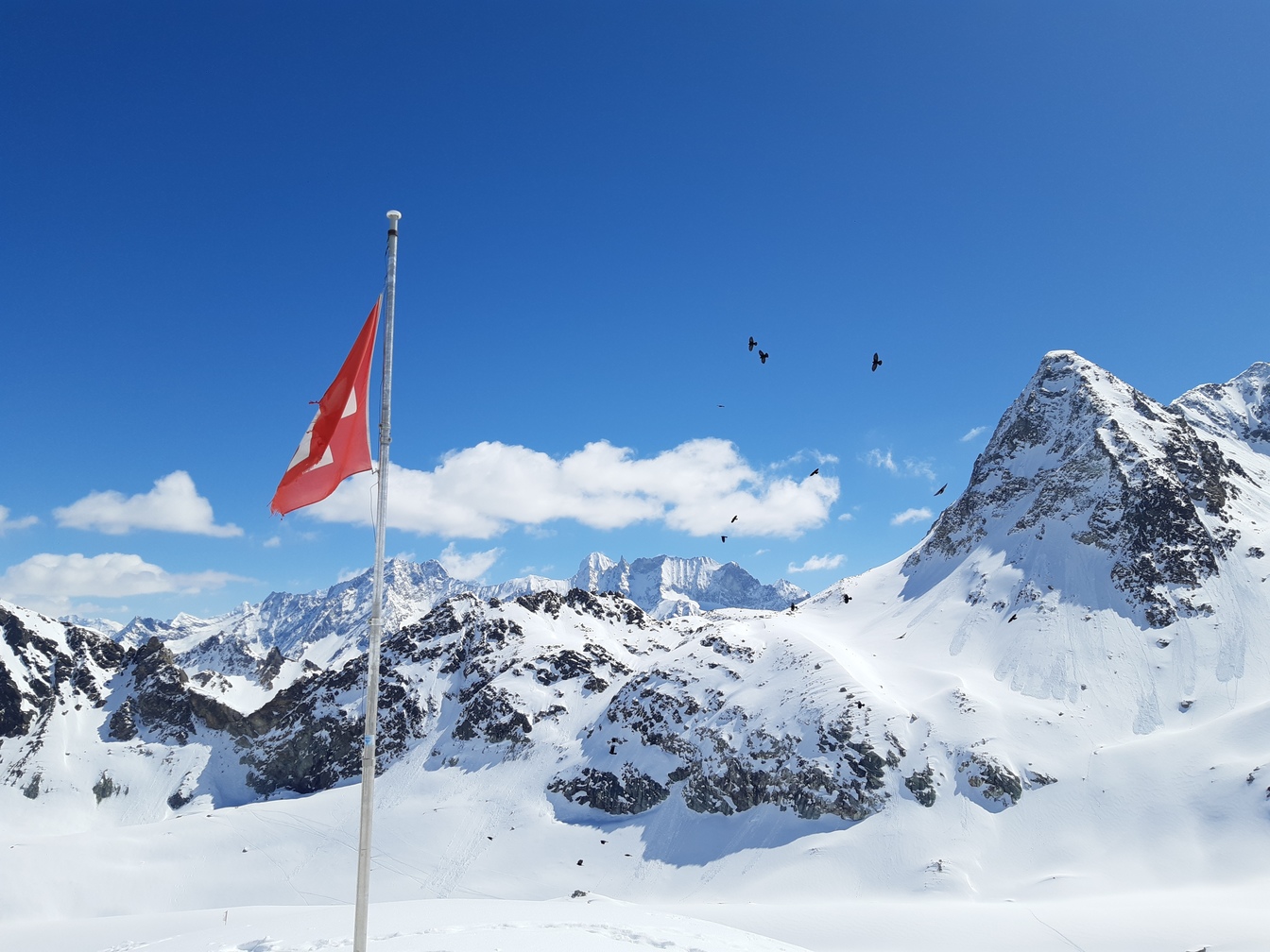 Avis des voyageurs Allibert Trekking dans les Alpes françaises ...