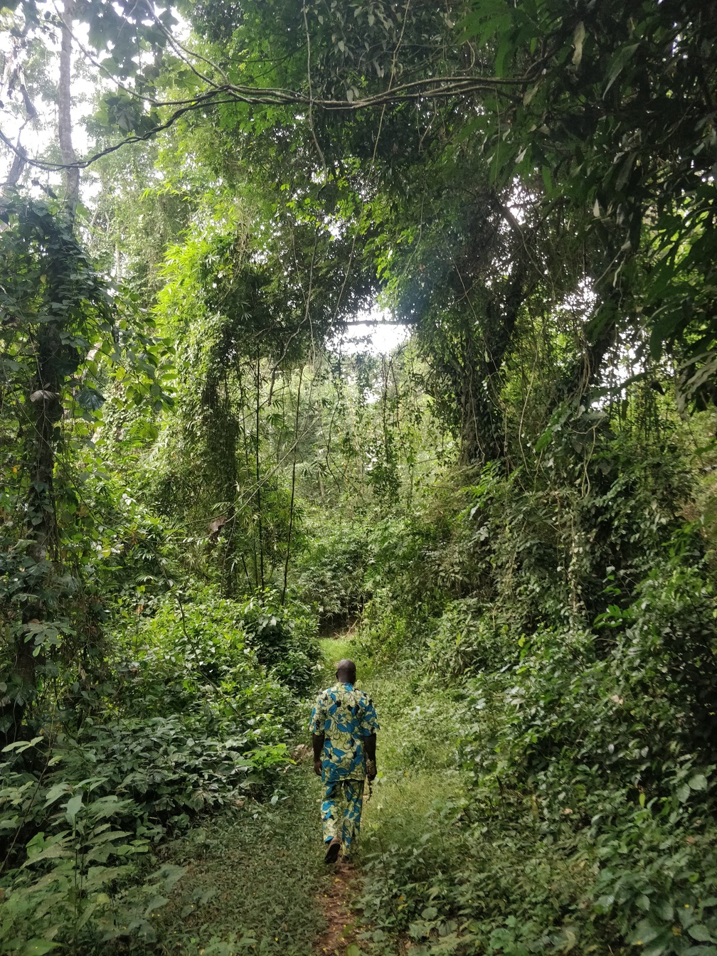 Voyage organisé bénin - L'essentiel du Bénin - Découverte - Bénin ...