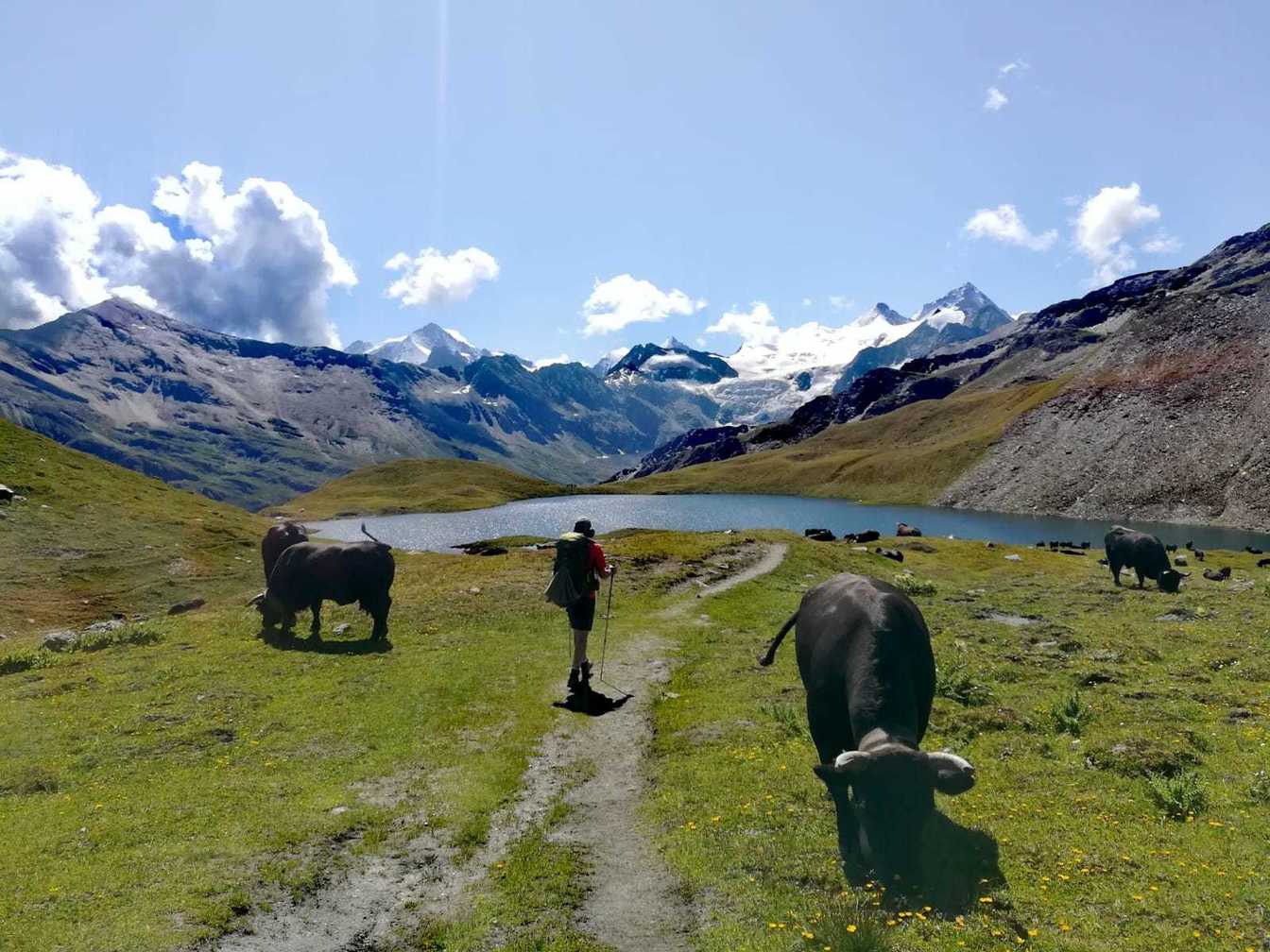 Rando chamonix zermatt - De Chamonix à Zermatt 7 jours - Randonnée ...