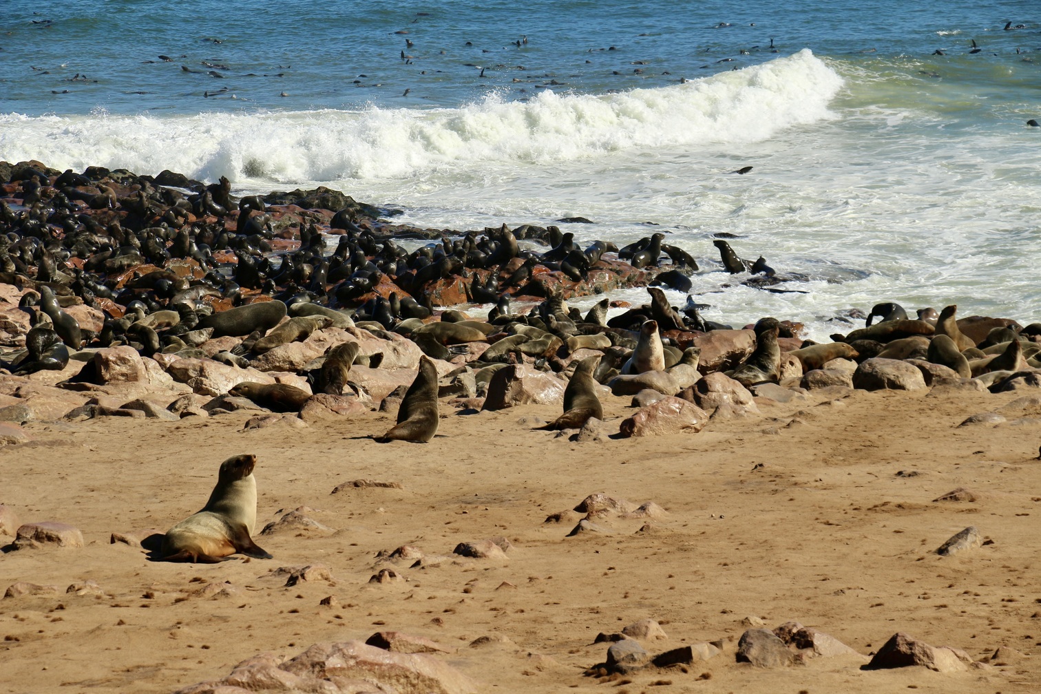 Circuit namibie botswana - Les joyaux de l'Afrique australe en 18 jours ...