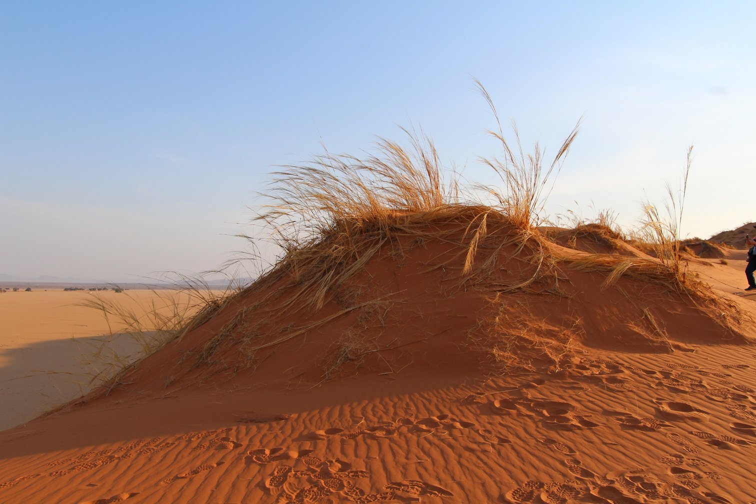 Circuit namibie botswana - Les joyaux de l'Afrique australe en 18 jours ...
