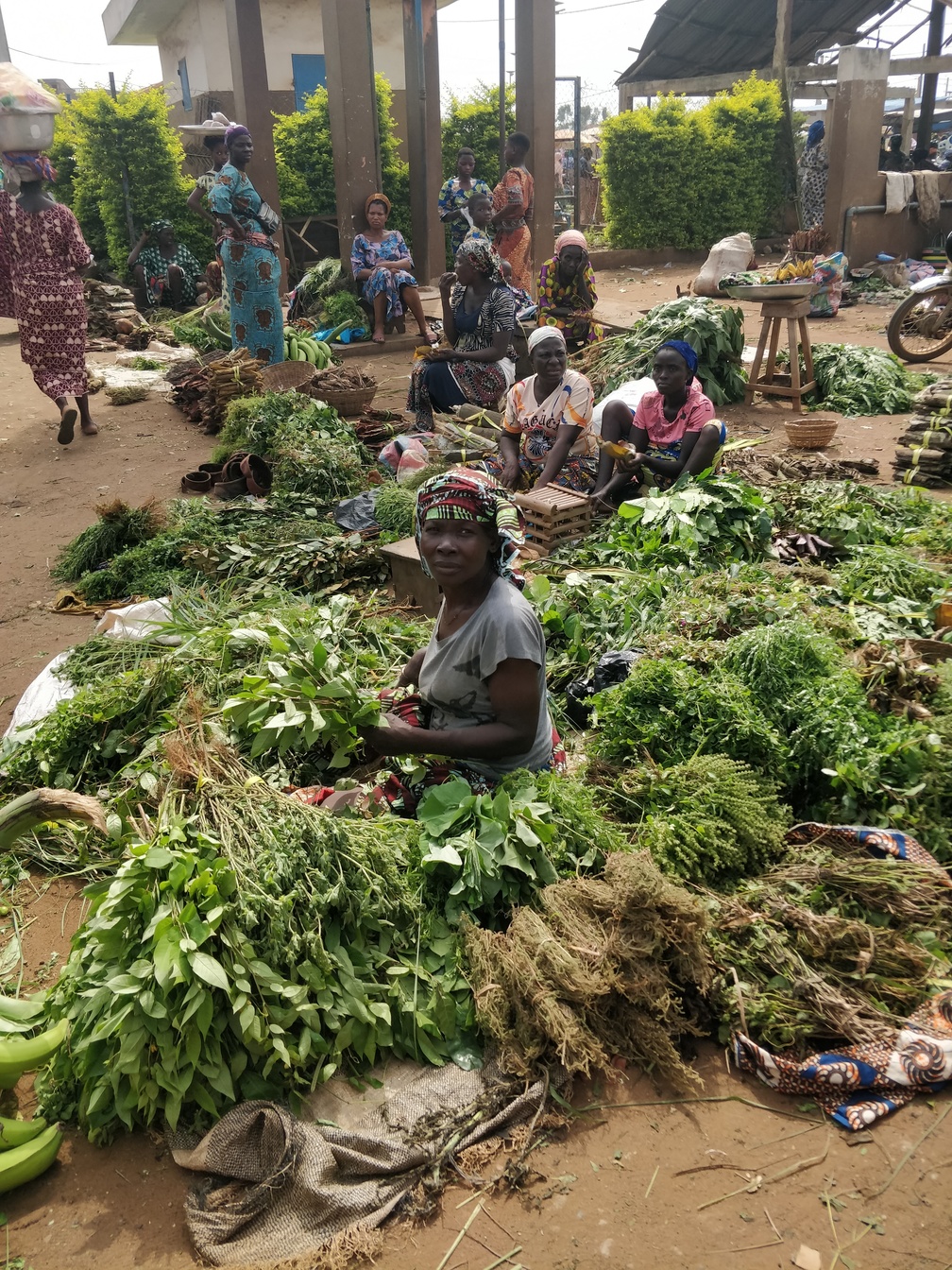 Voyage organisé bénin - L'essentiel du Bénin - Découverte - Bénin ...